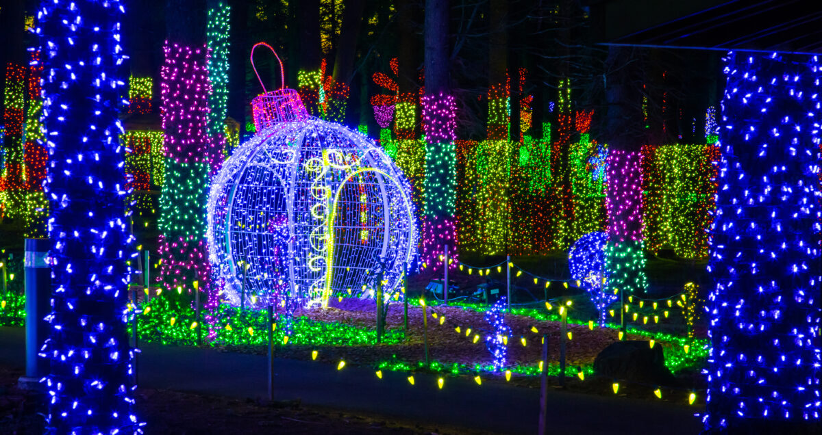 Opening Ceremony - Maryland Holiday Lights